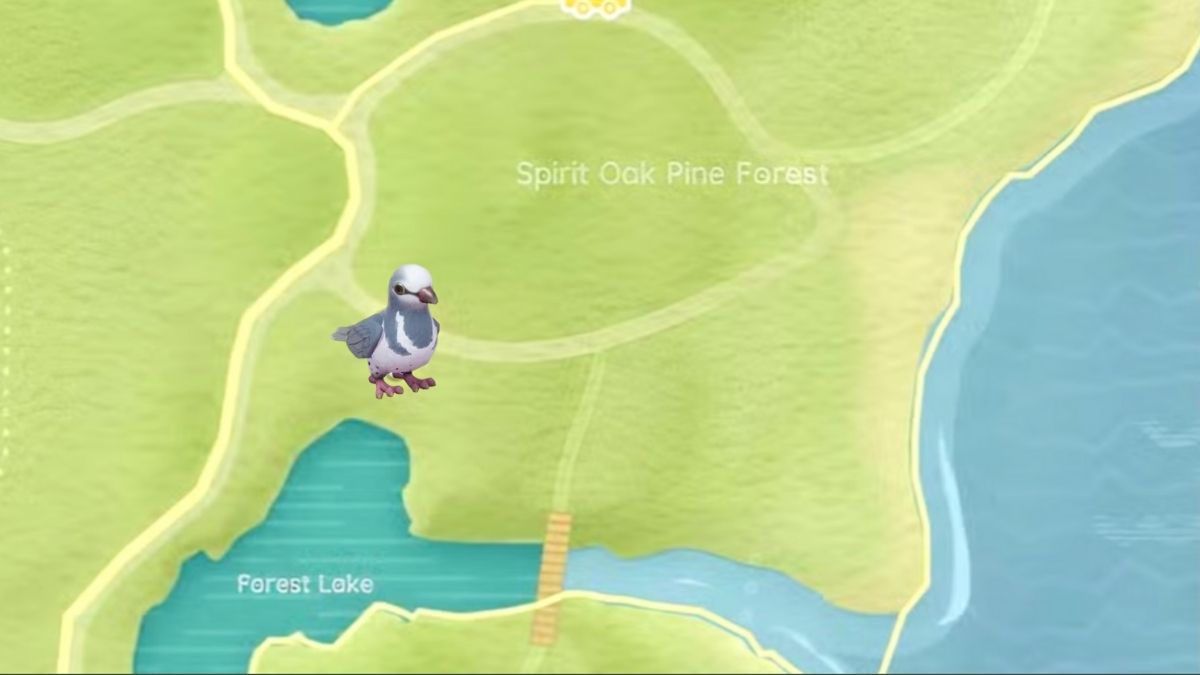 Wonga Pigeon Heartopia Location - Gigletter
